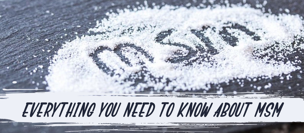 Everything You Need To Know About MSM - CrazyBulk.in