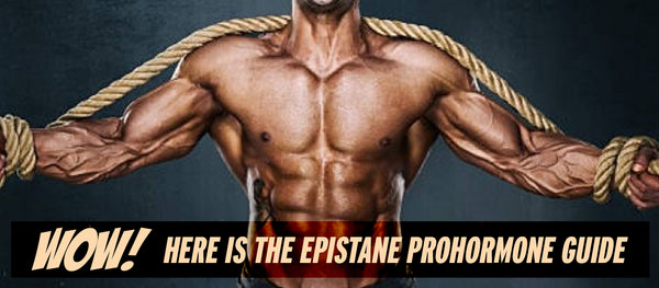 Wow! Here Is The Epistane Prohormone Guide - CrazyBulk.in