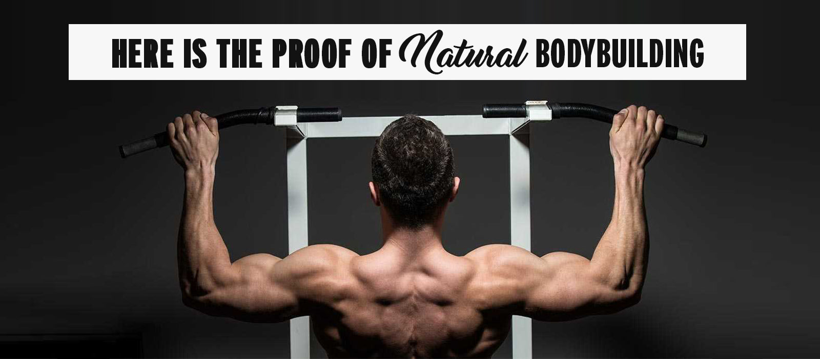 Back Bodybuilding Natural
